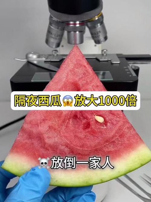 西瓜一般能放几天不坏图标