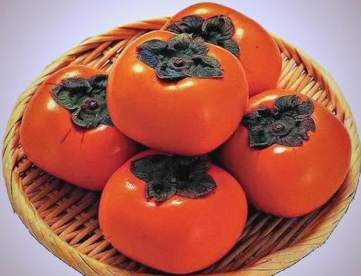 柿子阅读图标