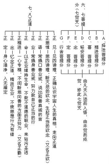 三十七种修行之道截图