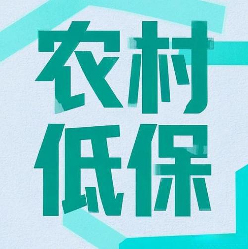 城市低保刷脸截图