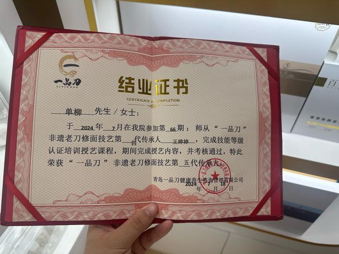 ca证书登录不了图标