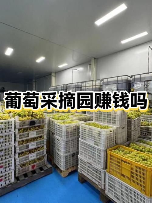 开果园赚钱吗截图