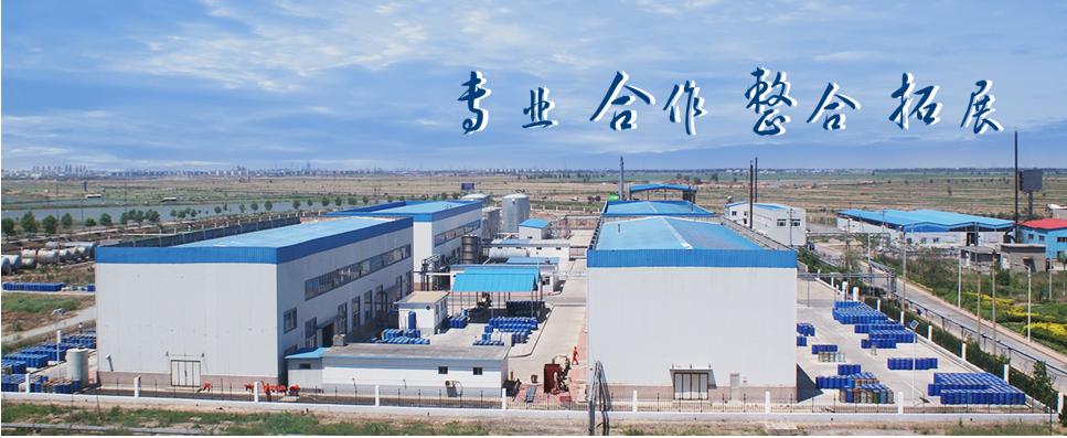 胜利油田胜利化工有限责任公司图标