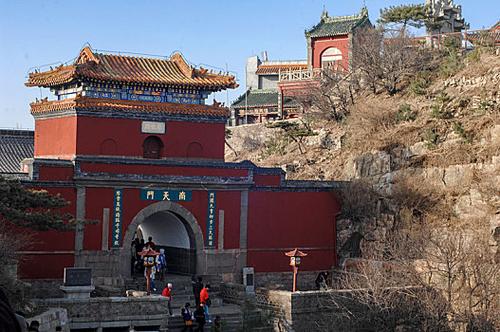 泰山APP下载图标