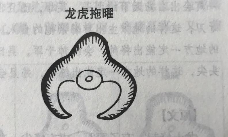 押龙虎怎么看截图