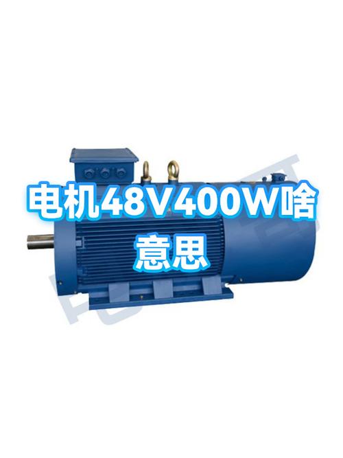 电机上写着48v400w图标