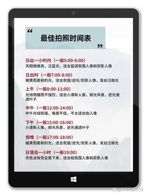 美拍审核一般多长时间图标