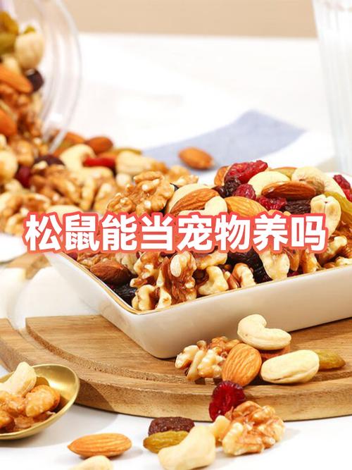 国家允许养松鼠吗图标
