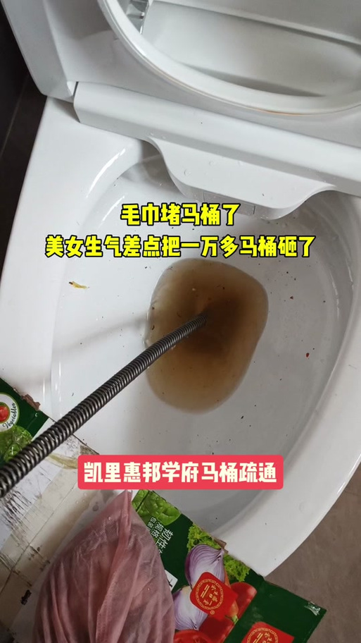 毛巾冲进了马桶堵住了咋办图标