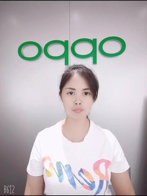 oppo识屏提取文字图标