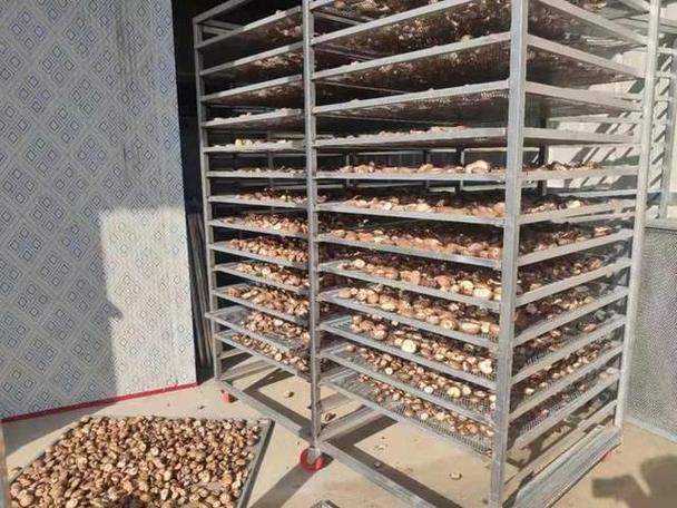 蘑菇烘干机图标
