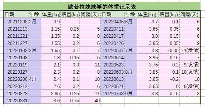 40g够用吗一个月图标