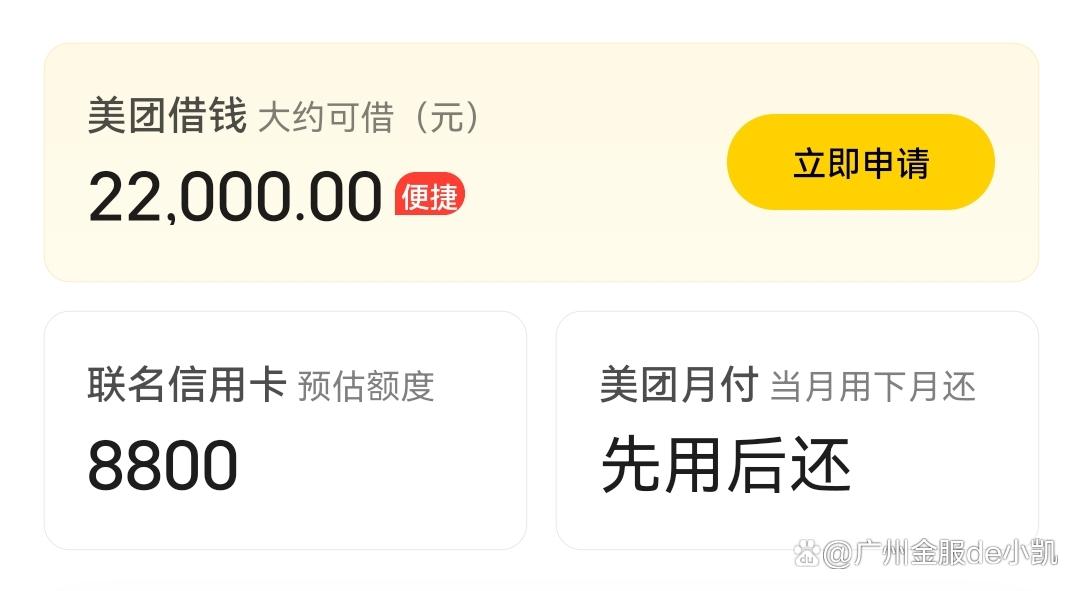 美团极速支付是贷款吗图标