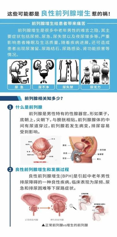 男性生殖健康科普知识图标