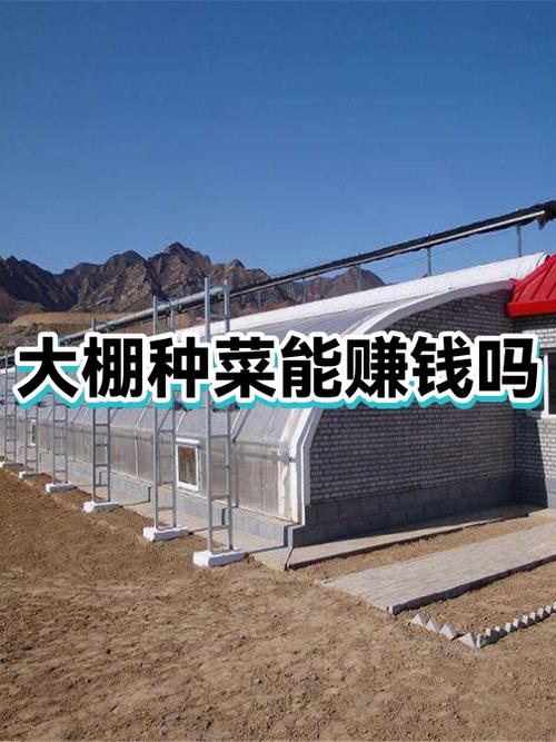 大棚蔬菜挣钱吗图标