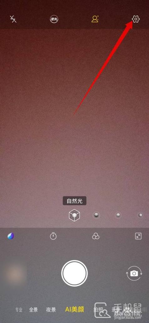 vivo手机拍照怎么调镜像图标