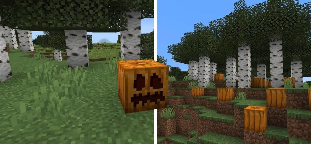 minecraft南瓜图标