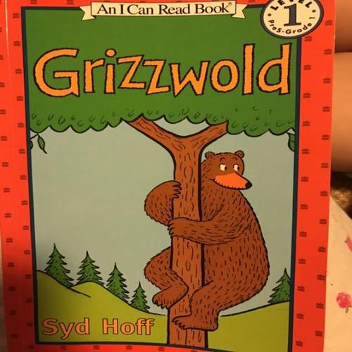 Grizzwold截图
