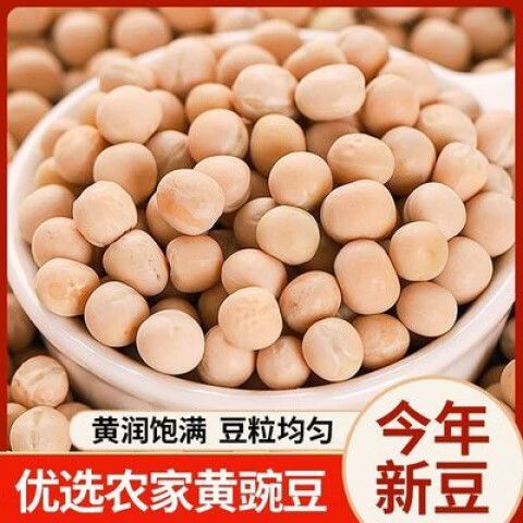 黄豌豆文截图