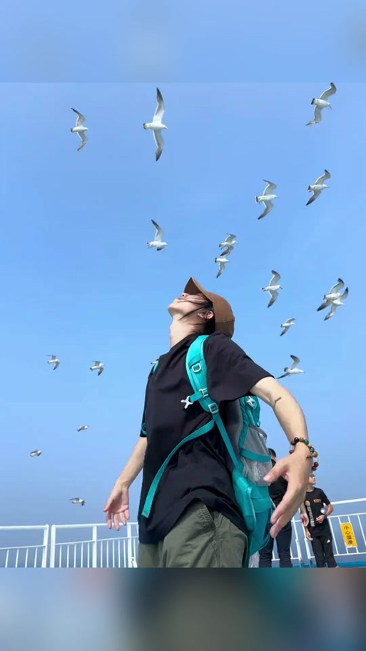 海鸥聊天是干嘛的图标