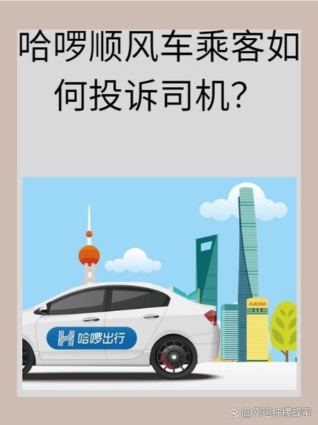 哈罗顺风车怎么看同行乘客截图