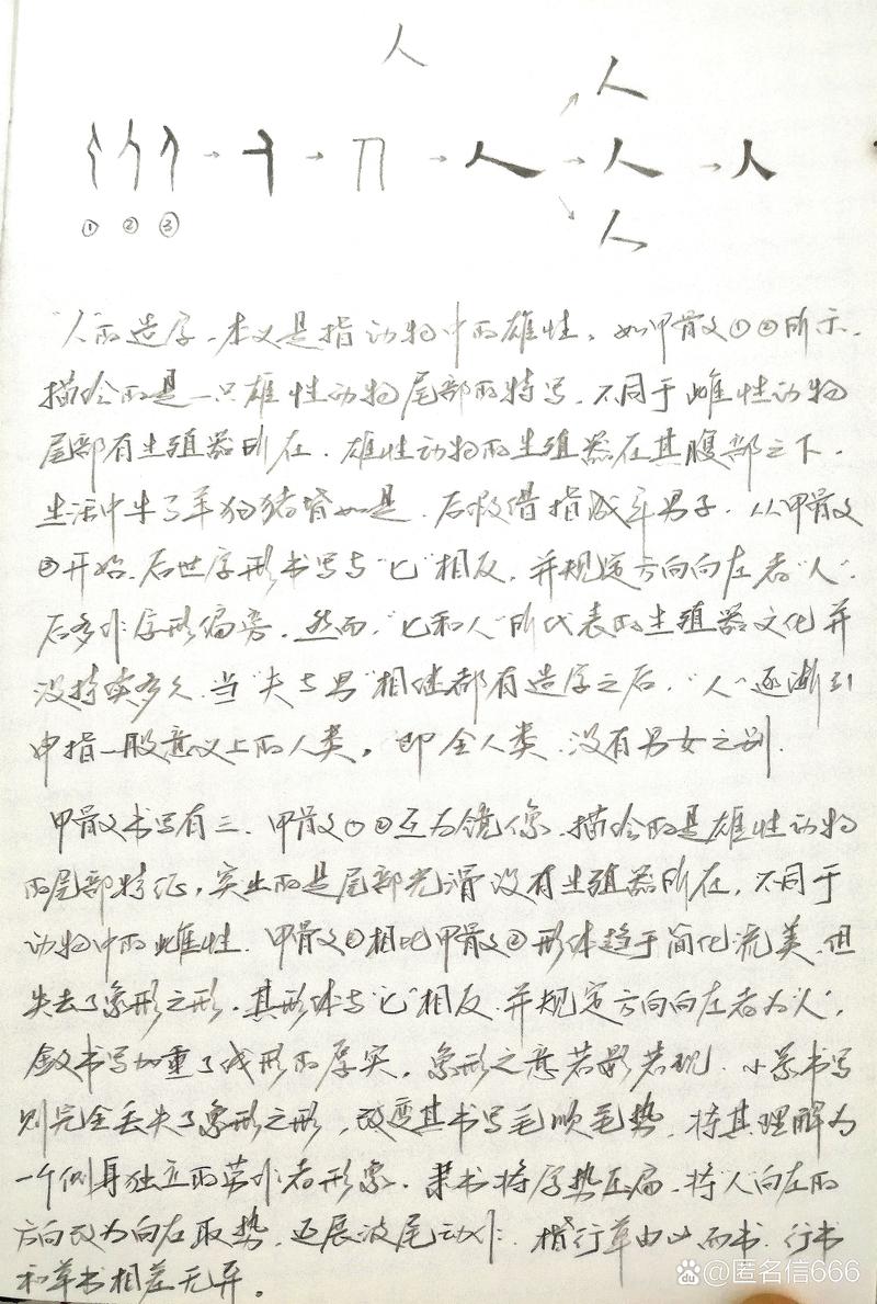 一号红人全文免费阅读笔趣阁图标