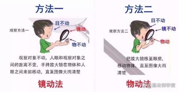 放大镜的使用方法截图