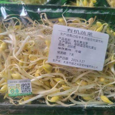 芽豆价格最新行情今天截图