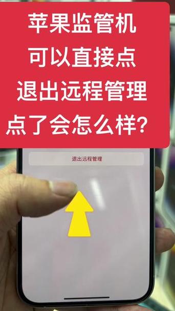 怎么退出远程守护截图