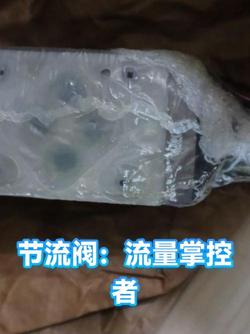 流量监控管家下载图标