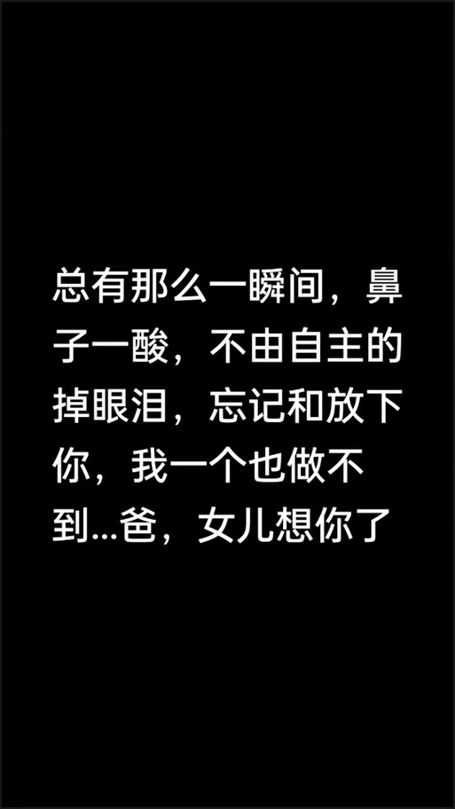 《我最爱的爸爸》原唱视频我想你了图标