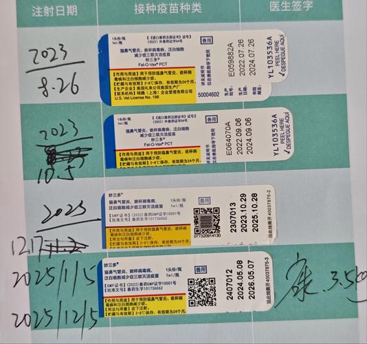 广东疫苗接种证明网上打印图标