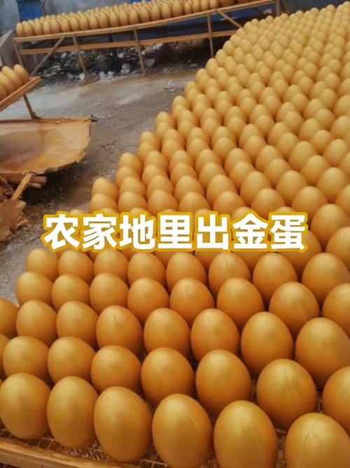 金蛋能开出什么图标