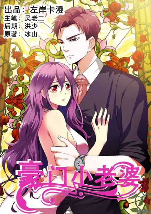 豪门小老婆全集完整版图标