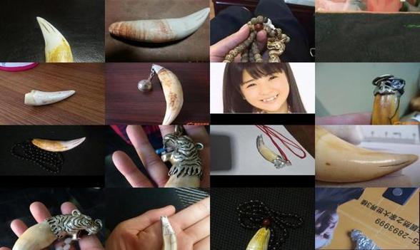 虎牙守护多少钱一个月图标