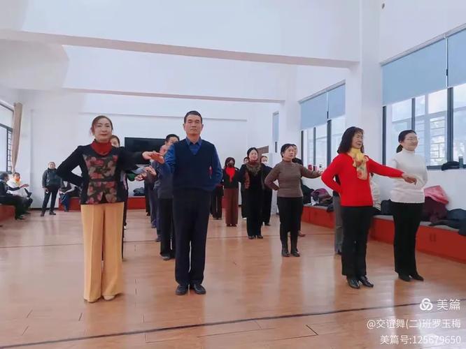 老年交谊舞培训班截图