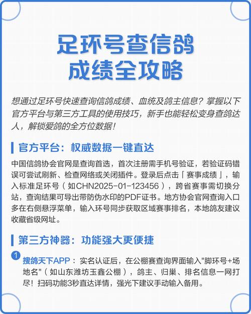 中国信鸽足环号查询系统图标