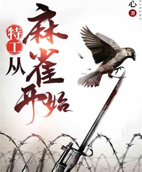 特工:从麻雀开始截图