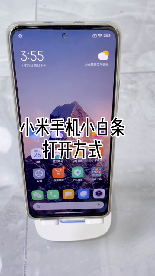 miui小白条沉浸什么意思图标