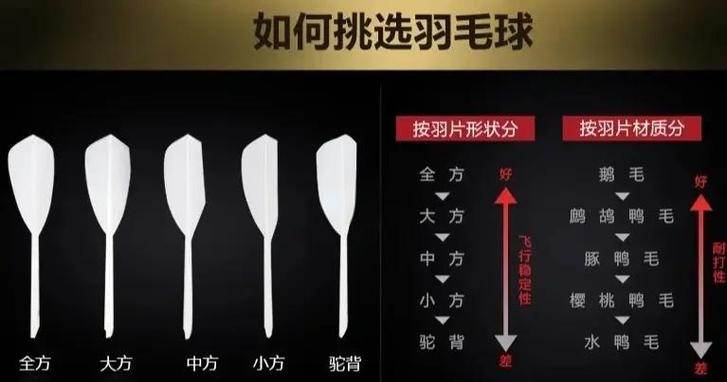 羽毛球球速快的秘诀图标