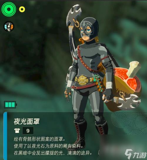 塞尔达传说王国之泪夜光套图标