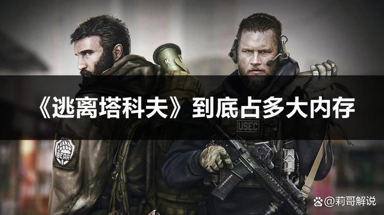 逃离塔科夫多少g内存图标