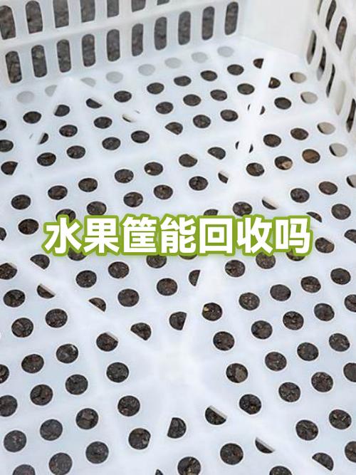 广州水果塑料筐回收处在哪图标