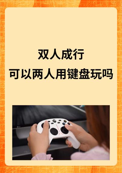 手柄和键盘一起玩的双人游戏