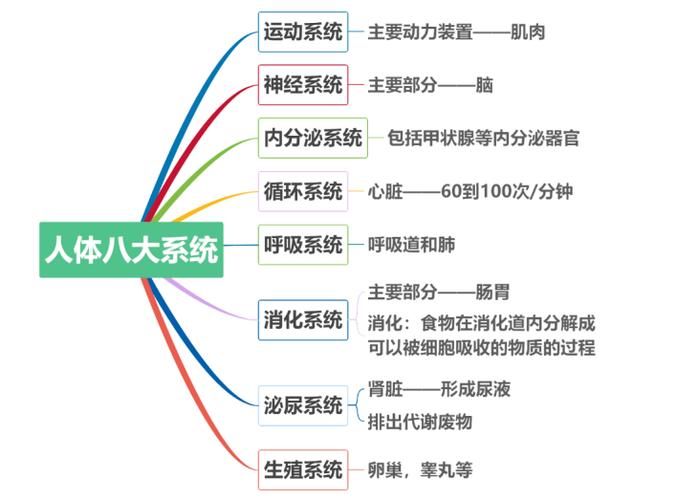 八大系统图图标