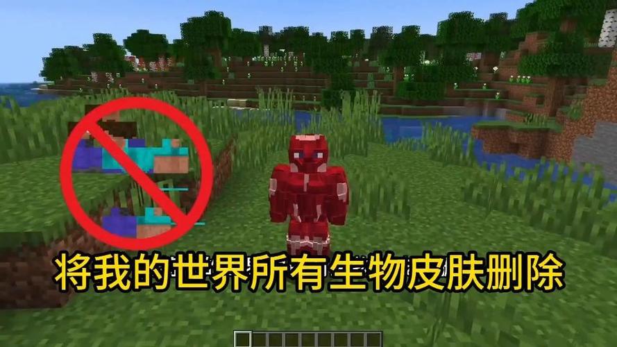 我的世界中删除已拥有的皮肤图标