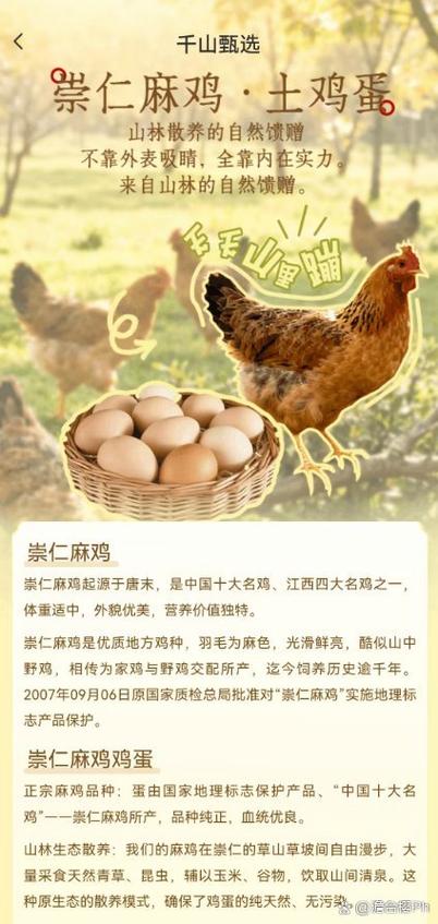 盛鑫网络科技有限公司图标