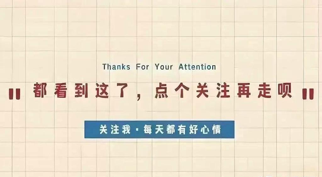 每日走呗截图