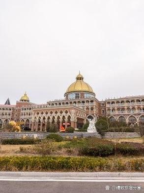 金天国际到底是什么公司图标