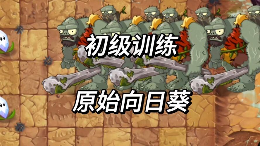 原始向日葵初级训练截图
